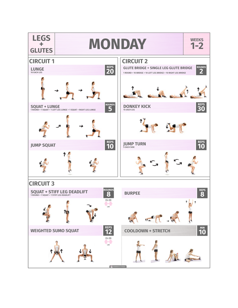 Fit Body Guide Round 1: Regular Bundle – Anna Victoria Shop